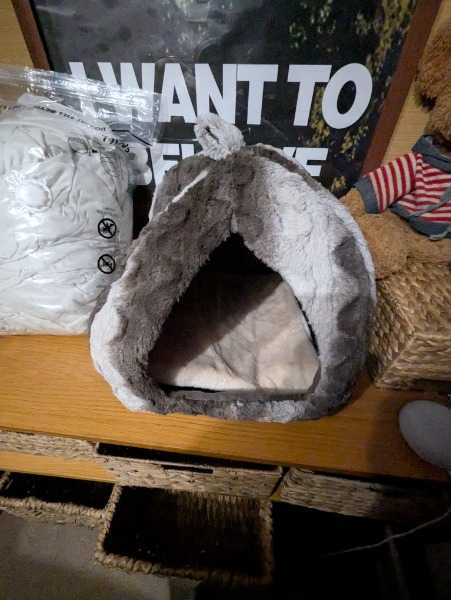 Freecycle: Trio of Cat Igloo Beds