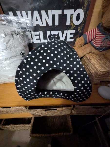 Freecycle: Trio of Cat Igloo Beds